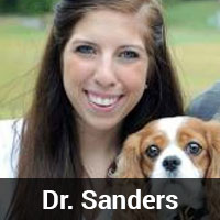 Doctors - Vet In Toney | Countryside Veterinary Hospital